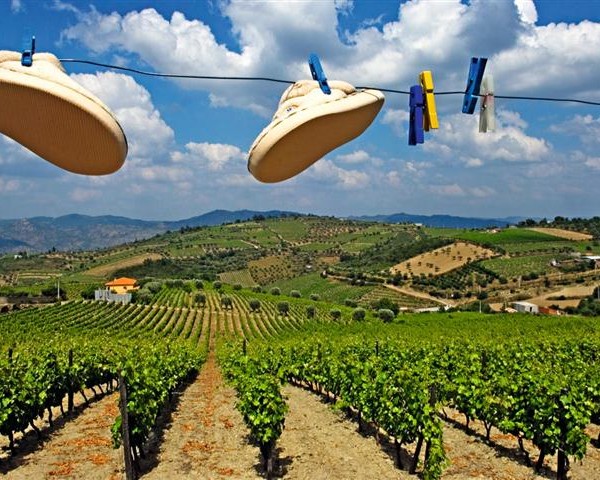 Smederevska Jesen - Serbischer Weinfest des Jahres | .TR